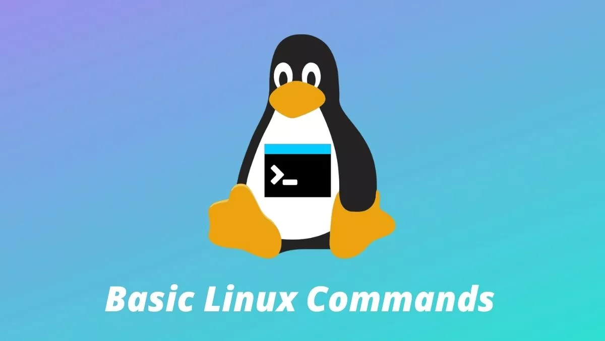 Linux Basic Commands - DevSecOps Now!!!