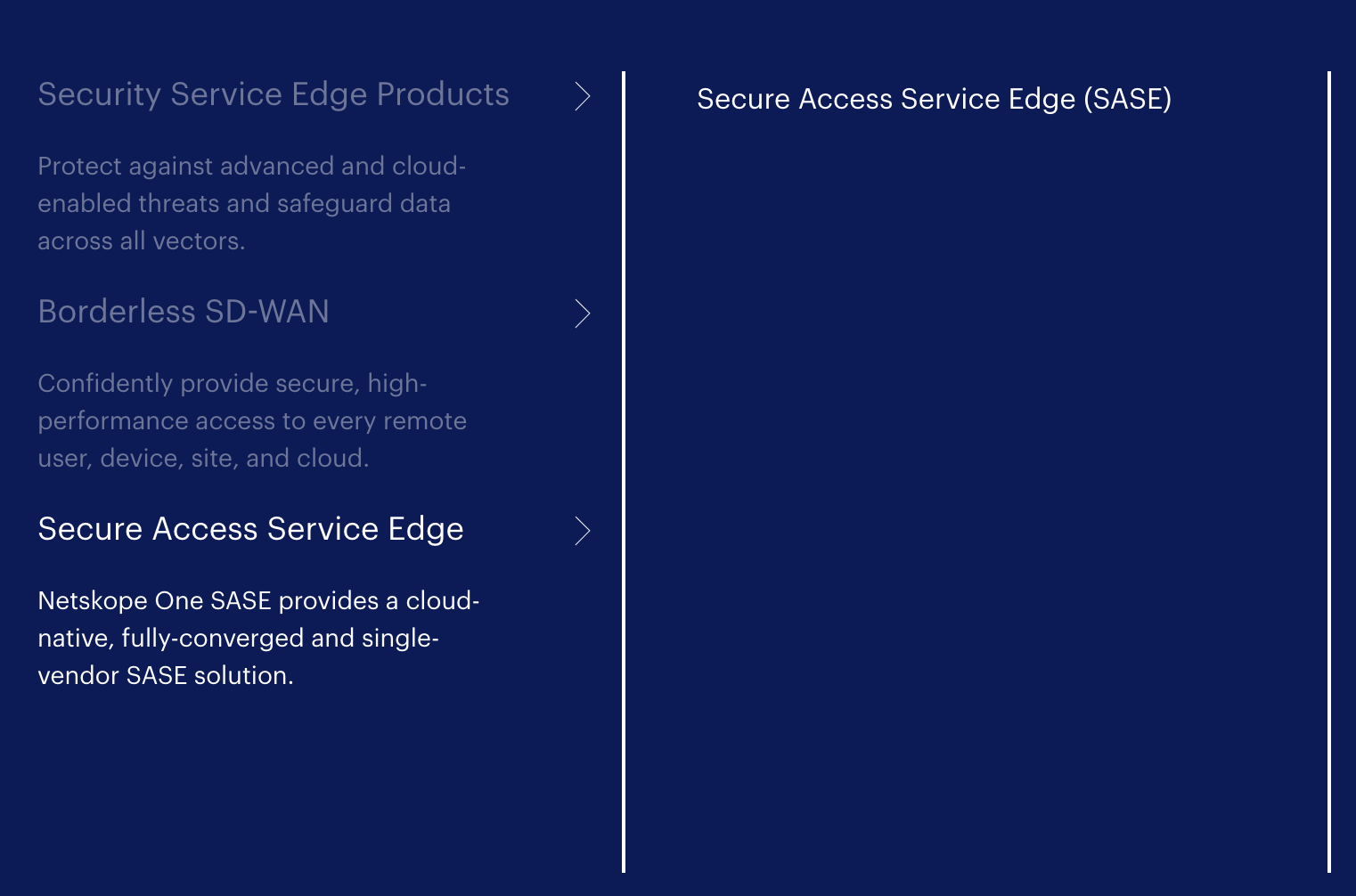What is netskope? - DevSecOps Now!!!